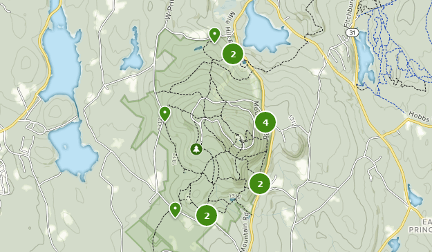 Best Walking Trails in Wachusett Mountain State Reservation | AllTrails
