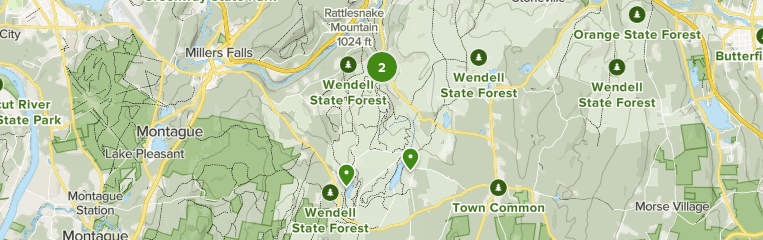 Best Forest Trails in Wendell State Forest | AllTrails
