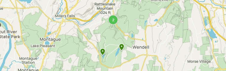 Best Forest Trails in Wendell State Forest | AllTrails