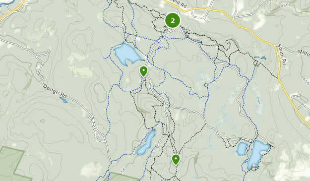 Best Running Trails in Bear Brook State Park | AllTrails