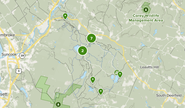 Best Walking Trails in Bear Brook State Park | AllTrails