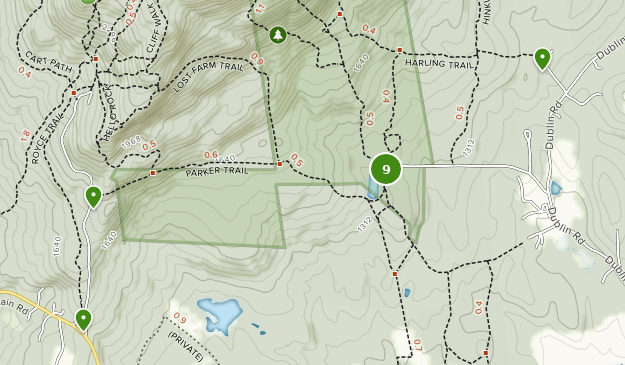 Best Walking Trails in Monadnock State Park | AllTrails