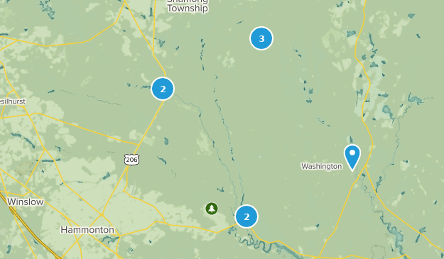 Best Camping Trails in Wharton State Forest | AllTrails