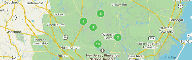 2023 Best 10 Forest Trails in Wharton State Forest | AllTrails