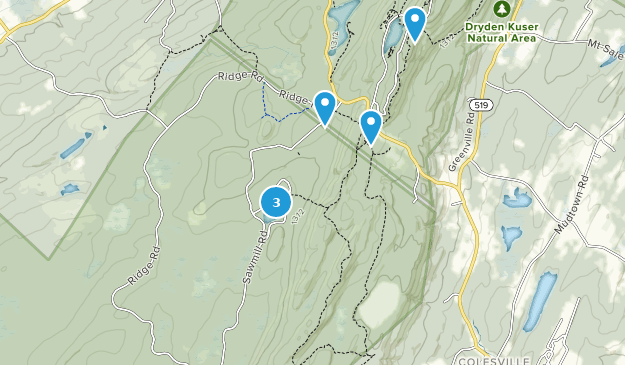 Best Bird Watching Trails in High Point State Park | AllTrails