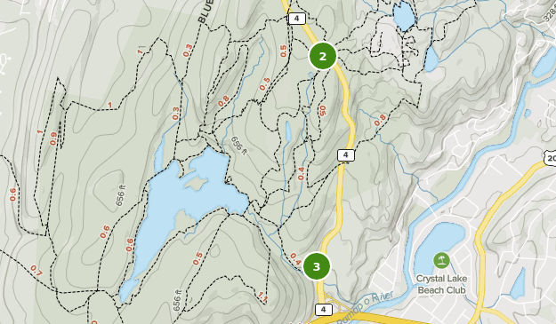 Best Dogs On Leash Trails in Ramapo Mountain State Forest | AllTrails
