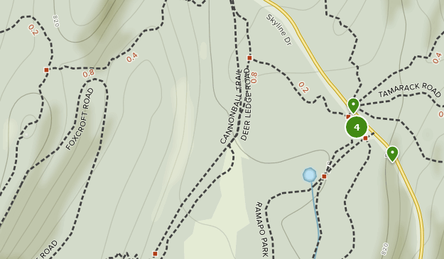 Best Mountain Biking Trails in Ramapo Mountain State Forest | AllTrails