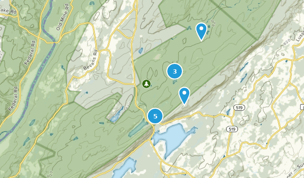 Best Forest Trails in Stokes State Forest | AllTrails