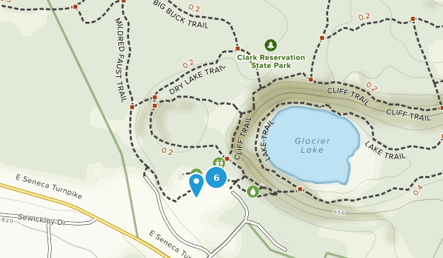 Best Bird Watching Trails in Clark Reservation State Park | AllTrails