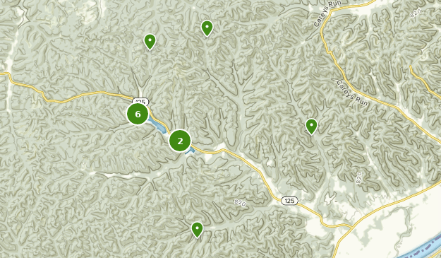 Best Forest Trails in Shawnee State Park | AllTrails