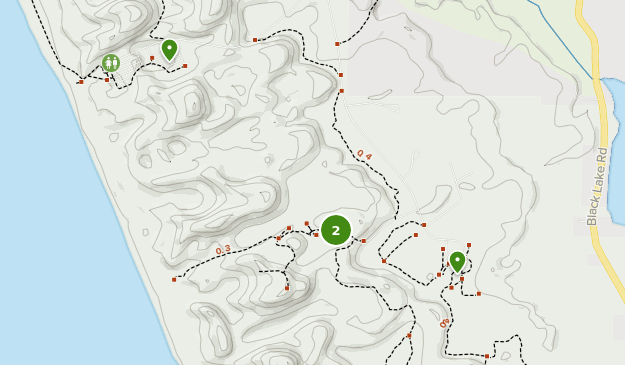Best Forest Trails in P. J. Hoffmaster State Park | AllTrails