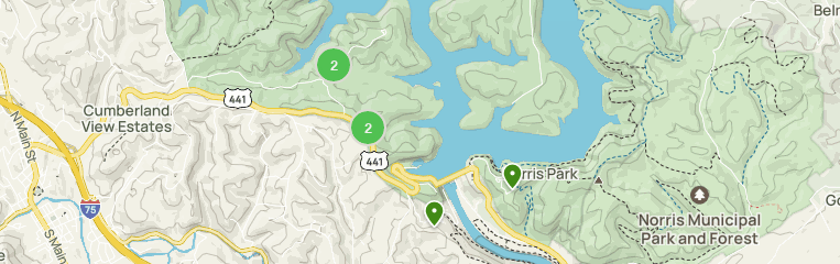 2023 Best Wild Flowers Trails in Norris Dam State Park | AllTrails