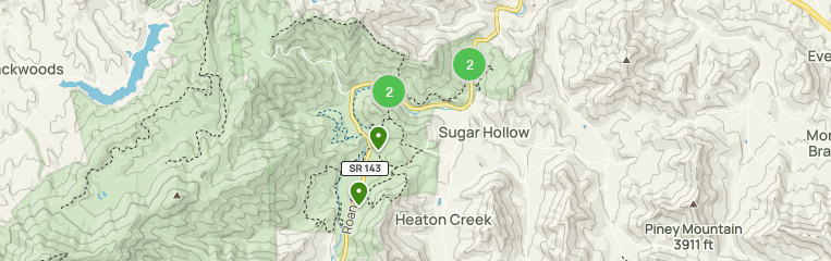 Best River Trails in Roan Mountain State Park | AllTrails