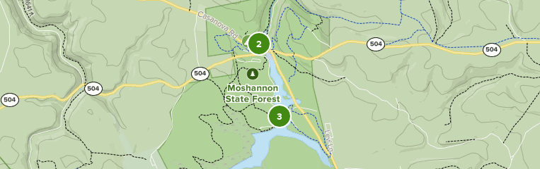 Best 10 Forest Trails in Black Moshannon State Park | AllTrails