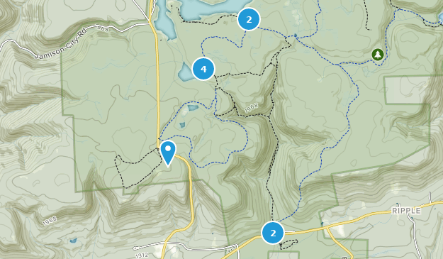 Best Views Trails in Ricketts Glen State Park | AllTrails