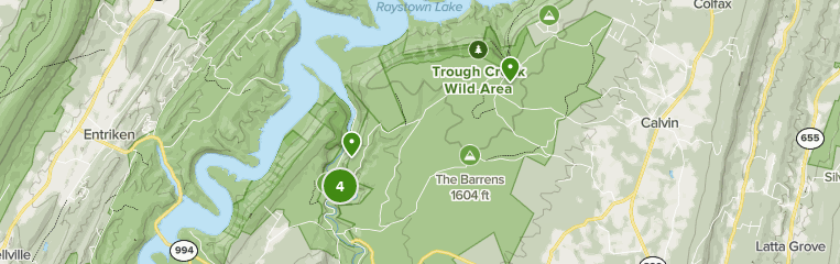 Best Forest Trails in Trough Creek State Park | AllTrails