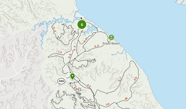 Best Beach Trails in York River State Park | AllTrails