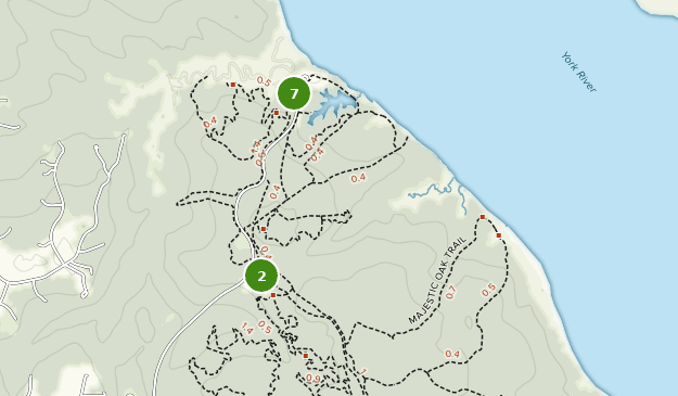 Best Walking Trails in York River State Park | AllTrails