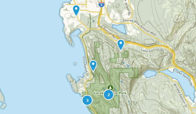 Best Trail Running Trails in Larrabee State Park, Washington | AllTrails