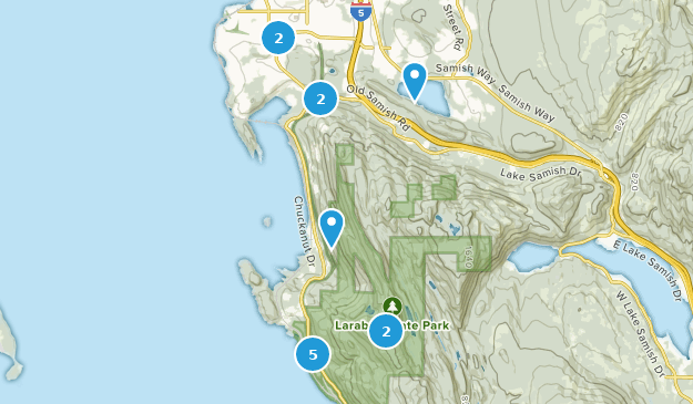 Best Walking Trails In Larrabee State Park Alltrails