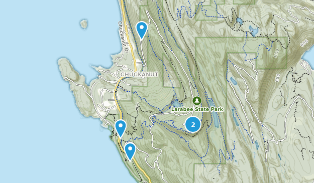 Best Wild Flowers Trails in Larrabee State Park | AllTrails