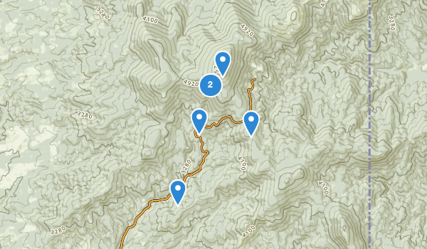 Best Mountain Biking Trails in Mount Spokane State Park | AllTrails.com