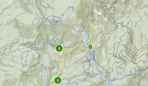Best Snowshoeing Trails in Mount Spokane State Park | AllTrails