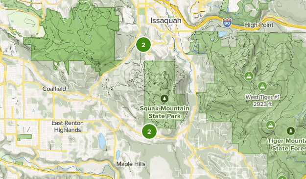 Best Kid Friendly Trails in Squak Mountain State Park | AllTrails