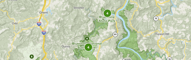 Best Forest Trails in Bluestone State Park | AllTrails