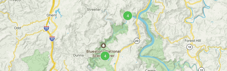 2023 Best Forest Trails in Bluestone State Park | AllTrails