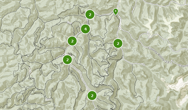 Best Forest Trails in Kanawha State Forest | AllTrails