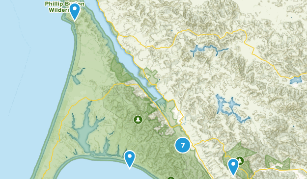 Best Horseback Riding Trails in Point Reyes National Seashore | AllTrails
