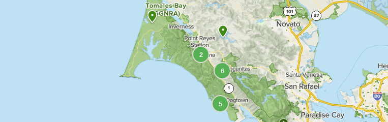 Best Lake Trails in Point Reyes National Seashore | AllTrails