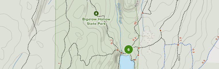 Best Walking Trails in Bigelow Hollow State Park | AllTrails
