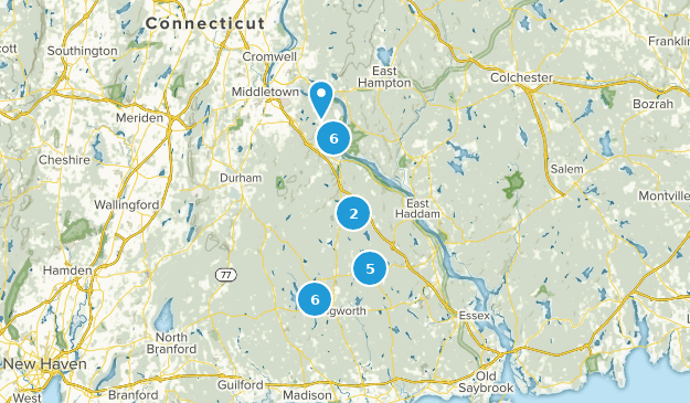 Best Forest Trails in Cockaponset State Forest | AllTrails