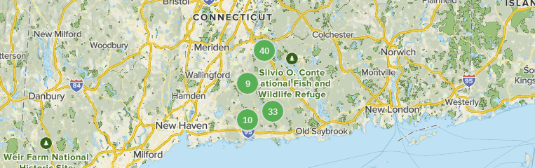 2023 Best 10 Forest Trails in Cockaponset State Forest | AllTrails