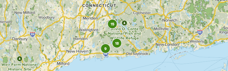 Best Wildflowers Trails in Cockaponset State Forest | AllTrails