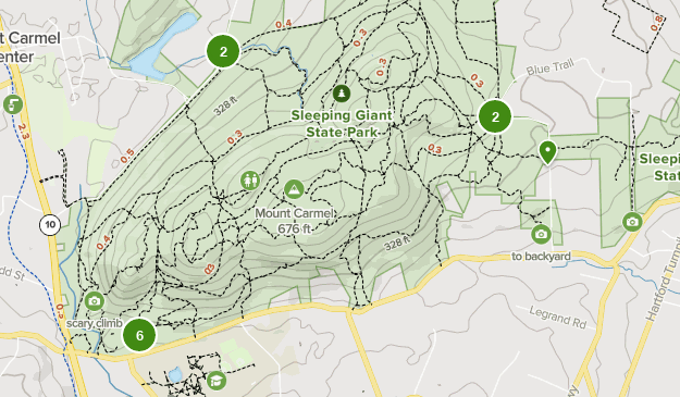 Best Kid Friendly Trails in Sleeping Giant State Park | AllTrails
