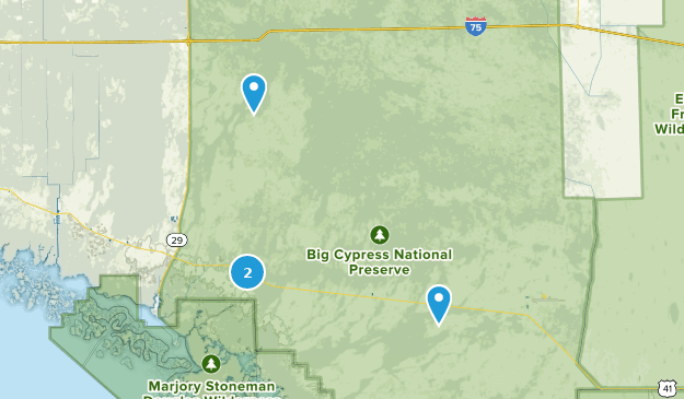 Best Bird Watching Trails in Big Cypress National Preserve | AllTrails