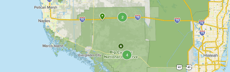 Best Camping Trails in Big Cypress National Preserve | AllTrails