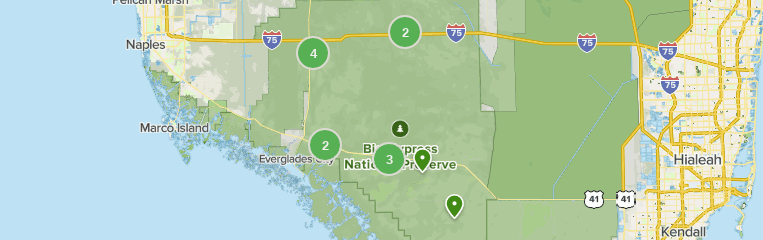 Best 10 Easy Trails in Big Cypress National Preserve | AllTrails