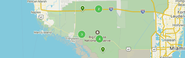 2023 Best 10 Long Trails in Big Cypress National Preserve | AllTrails