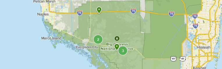 Best Moderate Trails in Big Cypress National Preserve | AllTrails