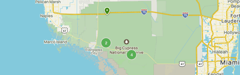 2023 Best Moderate Trails in Big Cypress National Preserve | AllTrails