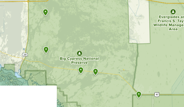 Best OHV / Off Road Driving Trails in Big Cypress National Preserve ...