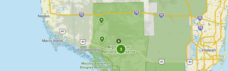Best Off Road Driving Trails in Big Cypress National Preserve | AllTrails