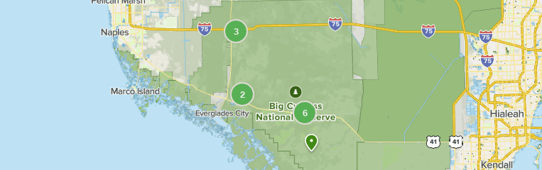 Best Views Trails in Big Cypress National Preserve | AllTrails