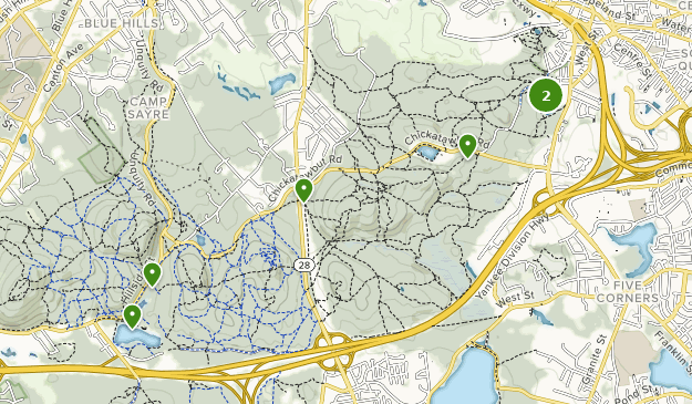 Best Horseback Riding Trails in Blue Hills Reservation | AllTrails
