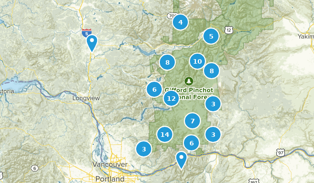 Best Forest Trails in Gifford Pinchot National Forest, Washington ...
