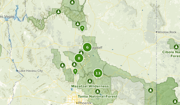 Best Camping Trails in Coconino National Forest | AllTrails